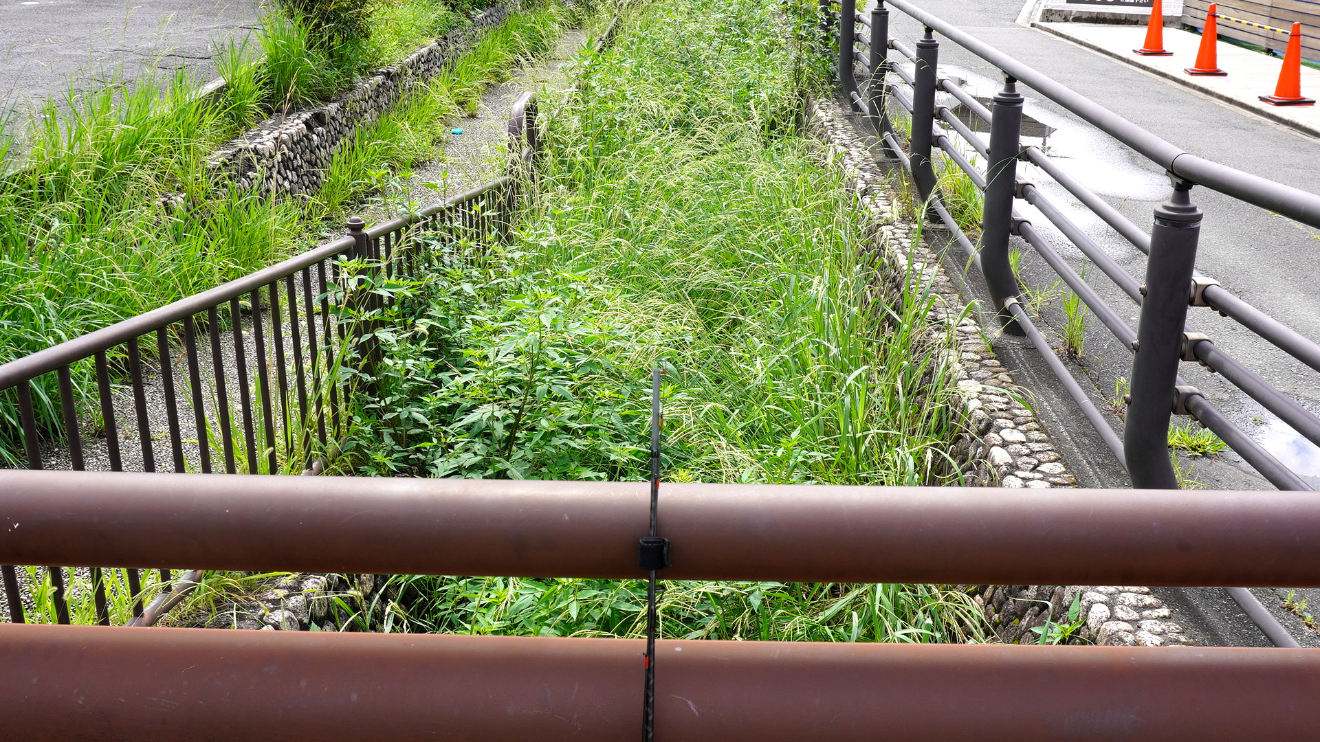 セフィア22モデルS76SUL-Sを夏のティラピアで試し釣り | でら釣りブログ